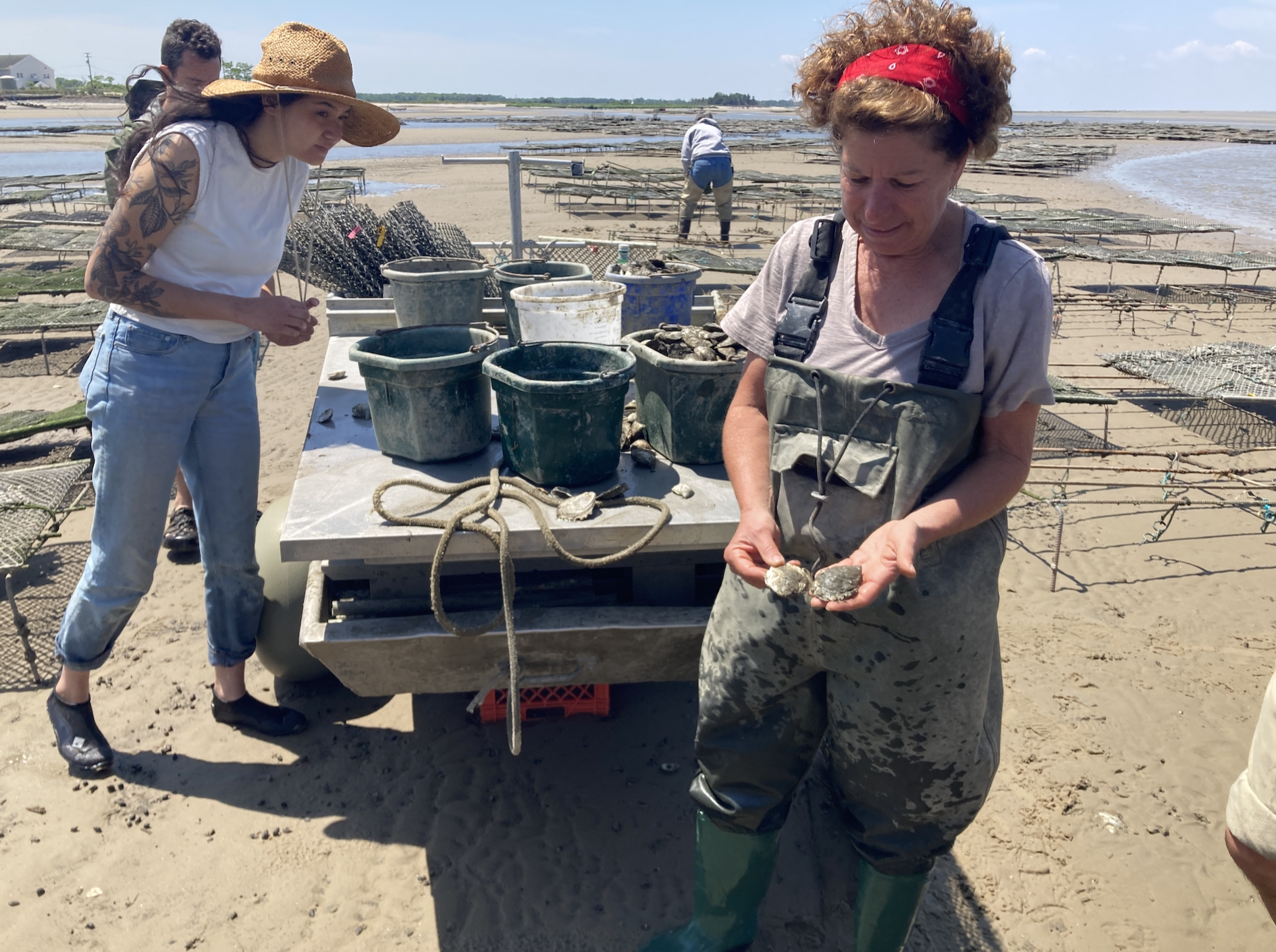 NOFA NJ – Northeast Organic Farming Association of New Jersey