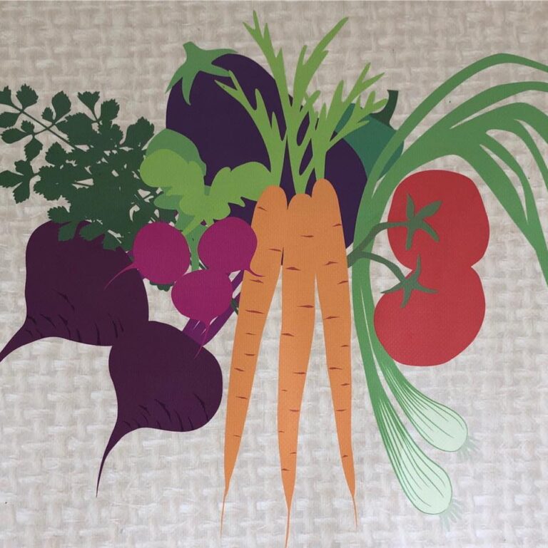 NOFA NJ Member CSA Farms – NOFA NJ